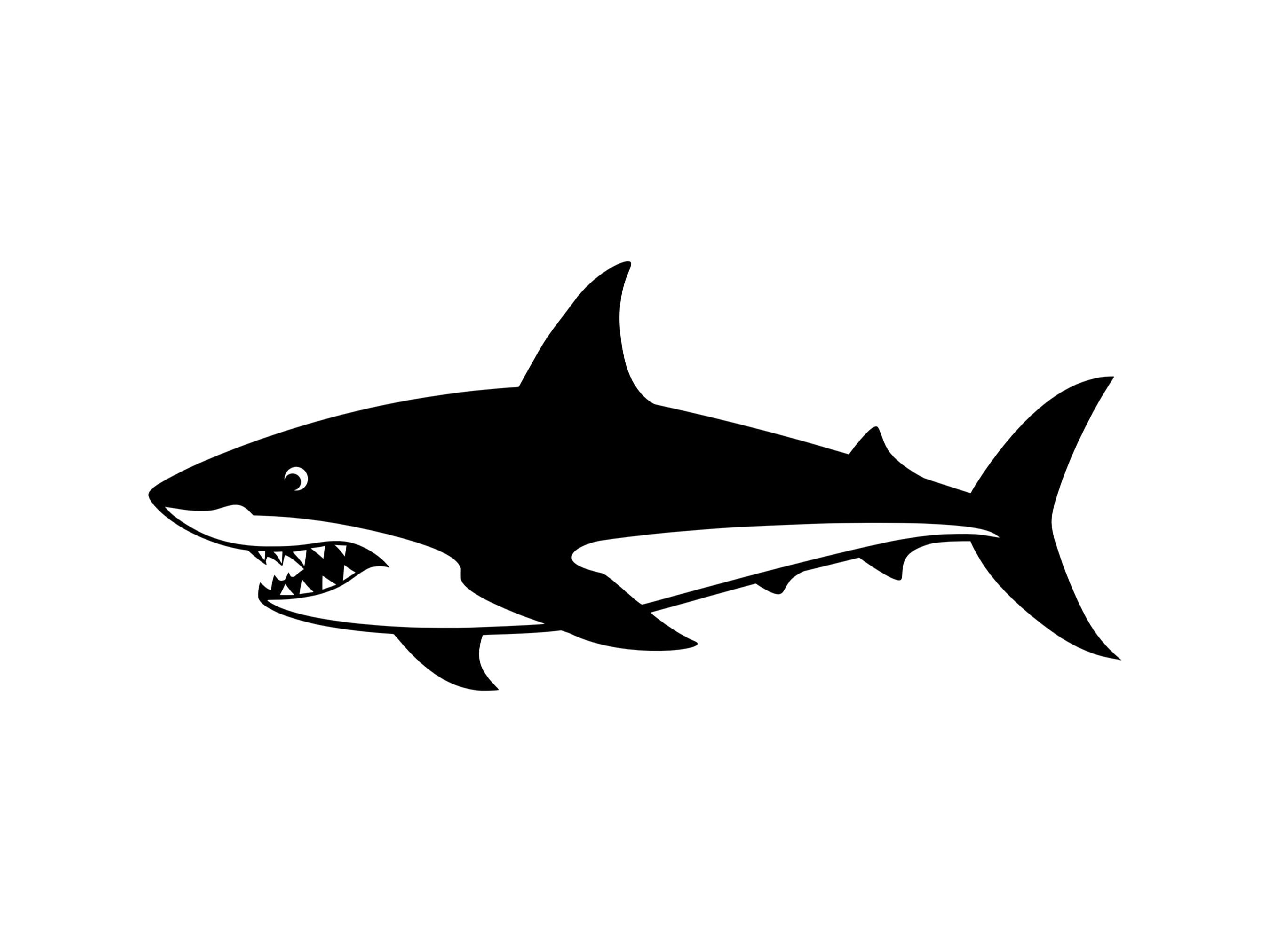 Shark SVG - Great White Shark Sea Creature Ocean Animals Silhouette ...