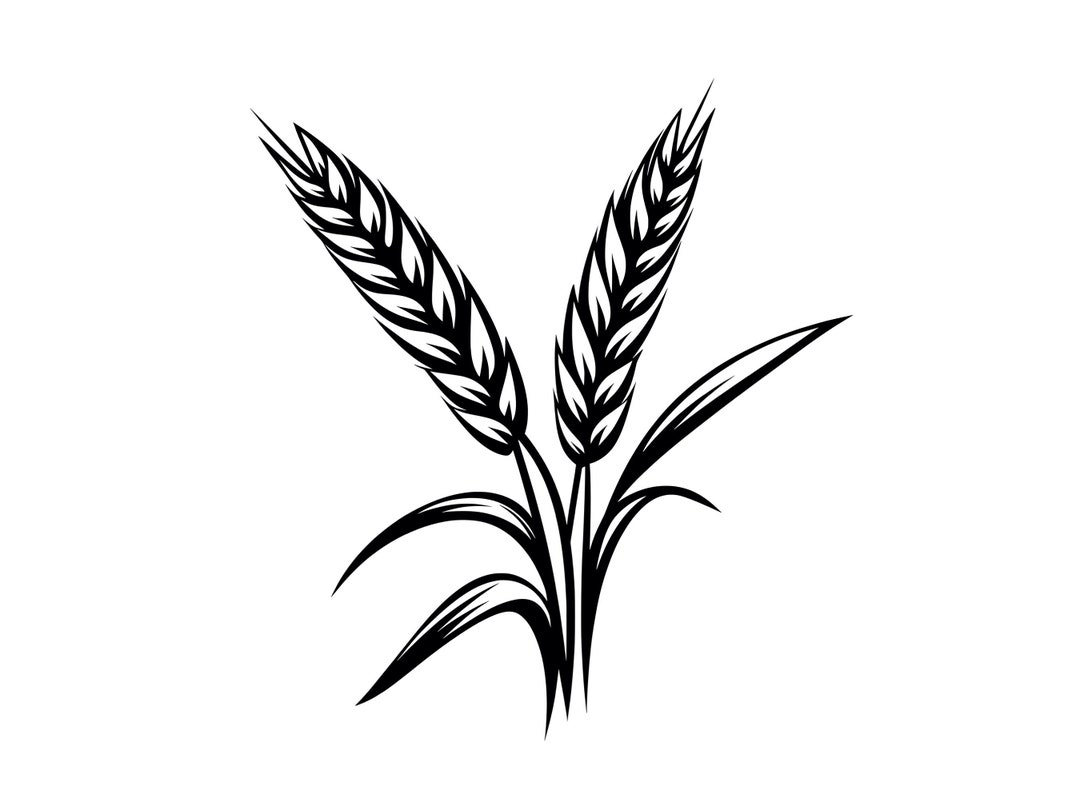 Wheat SVG - Wheat Grass Farm Crops Agriculture Field Silhouette Clipart ...