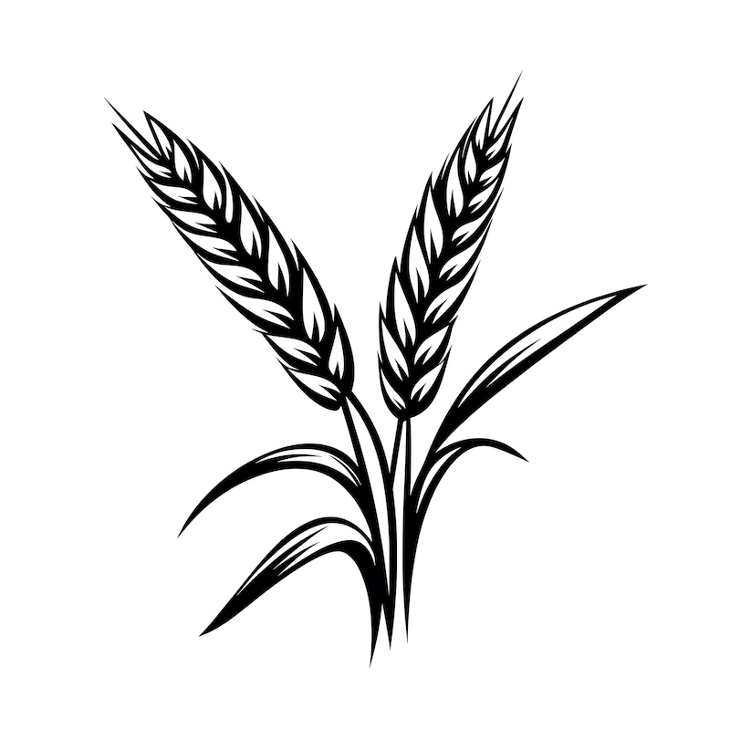 Wheat Svg - Etsy