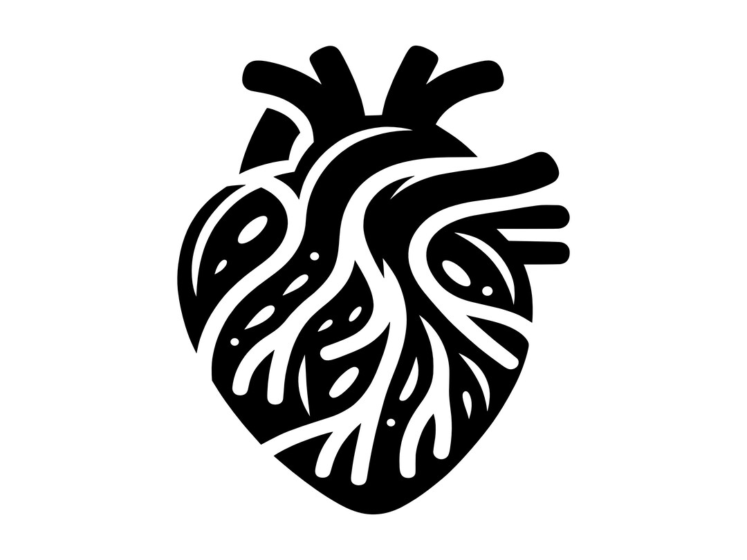 Human Heart SVG - Human Biology Anatomy Medical Health Silhouette Clip ...