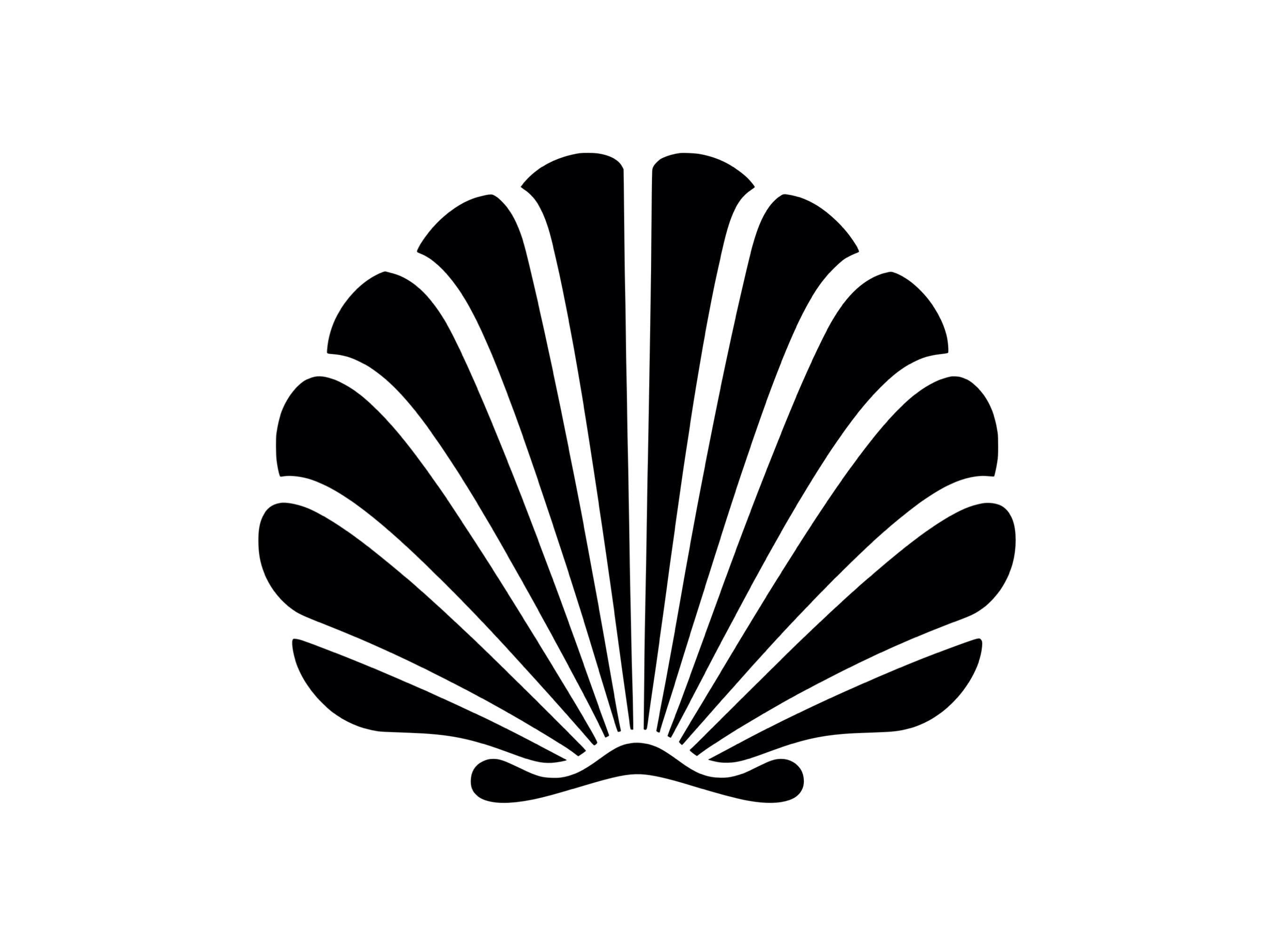 Sea Shell SVG Ocean Seashell Nautical Beach Clam Shell - Etsy