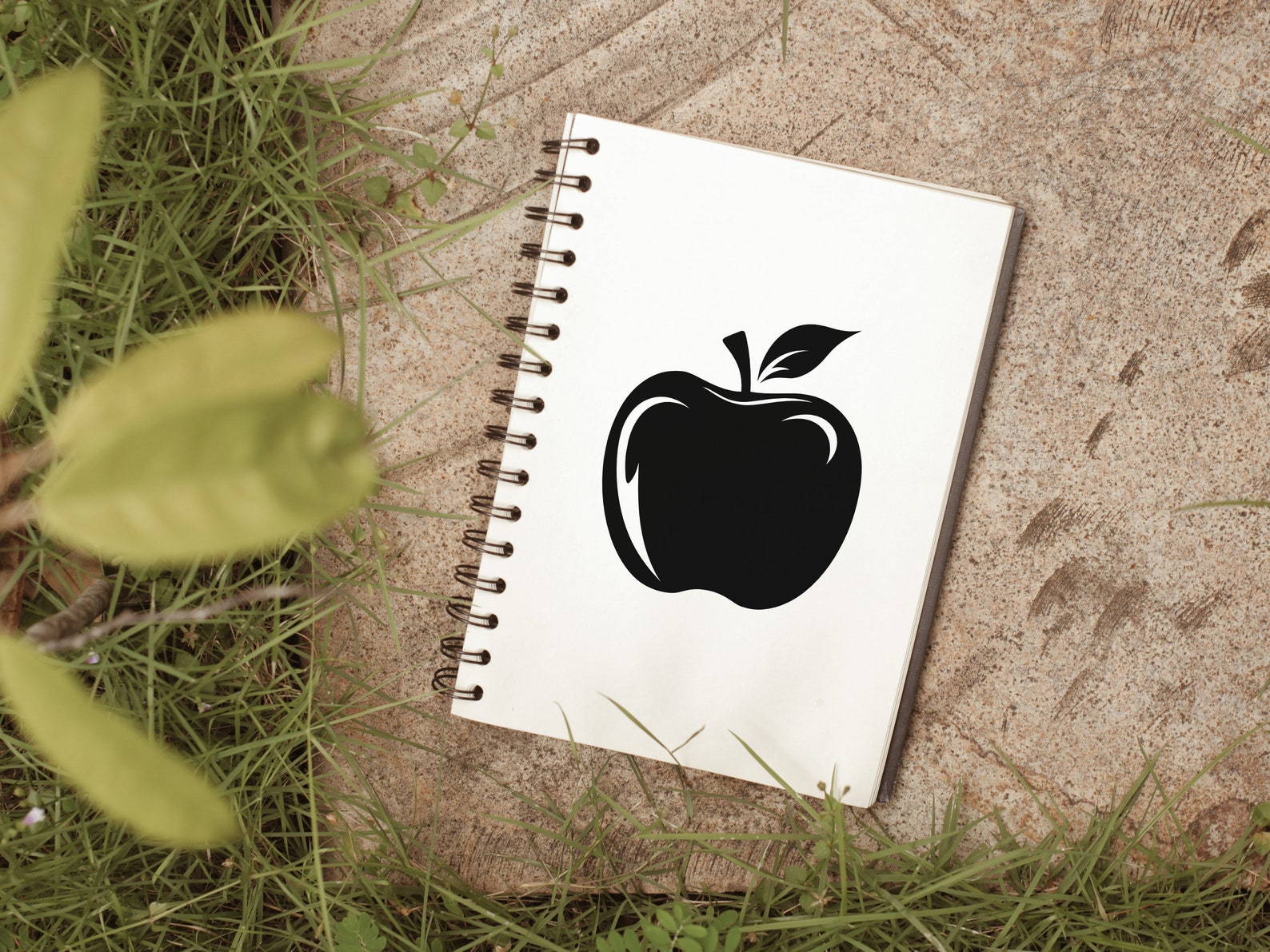 Apple SVG - Apple Tree Fruit Healthy Food Printable Clip Art Cut File ...