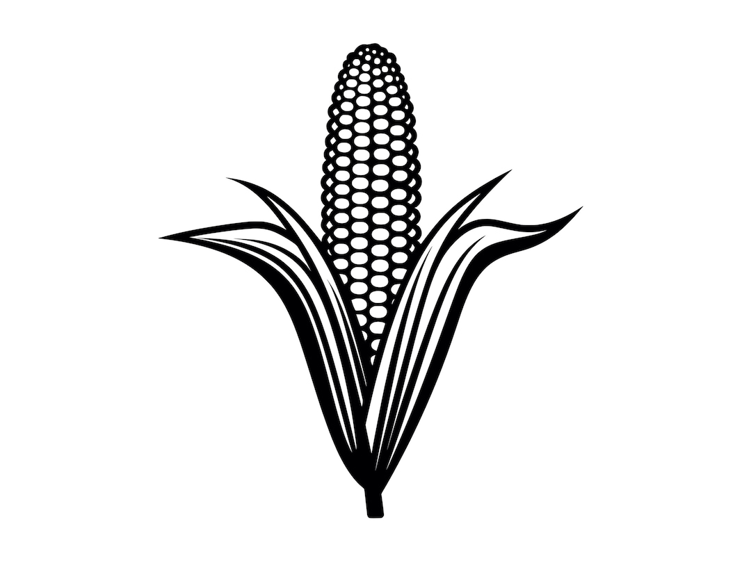 Corn SVG - Corn Cob Husk Farming Corn Crops Food Harvest Printable Clip ...