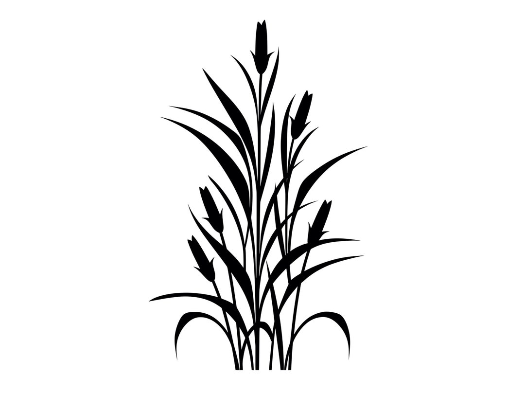 Corn Crops SVG - Corn Field Farming Fall Food Harvest Silhouette Clip ...