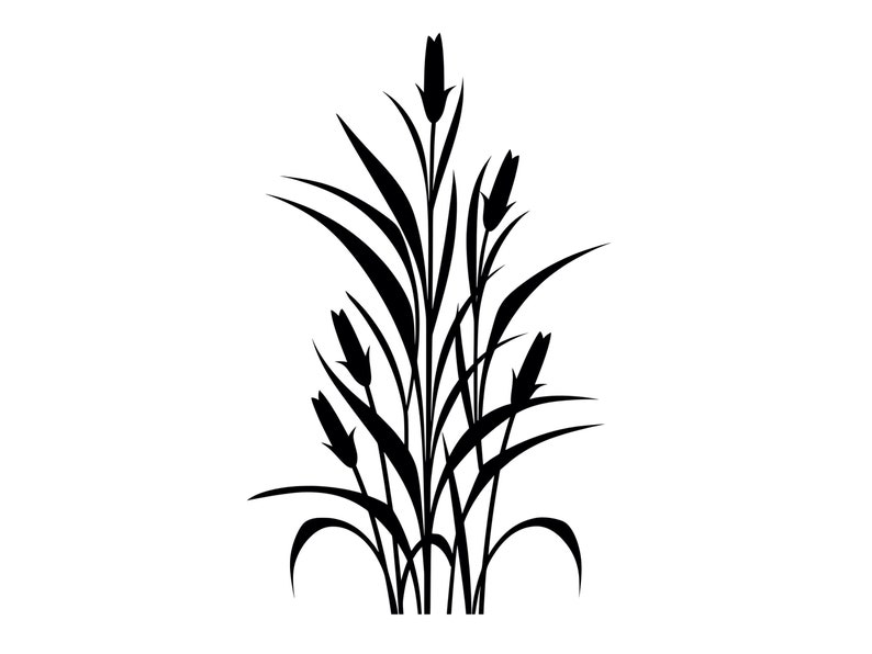 Corn Crops SVG Corn Field Farming Fall Food Harvest Silhouette Clip Art ...