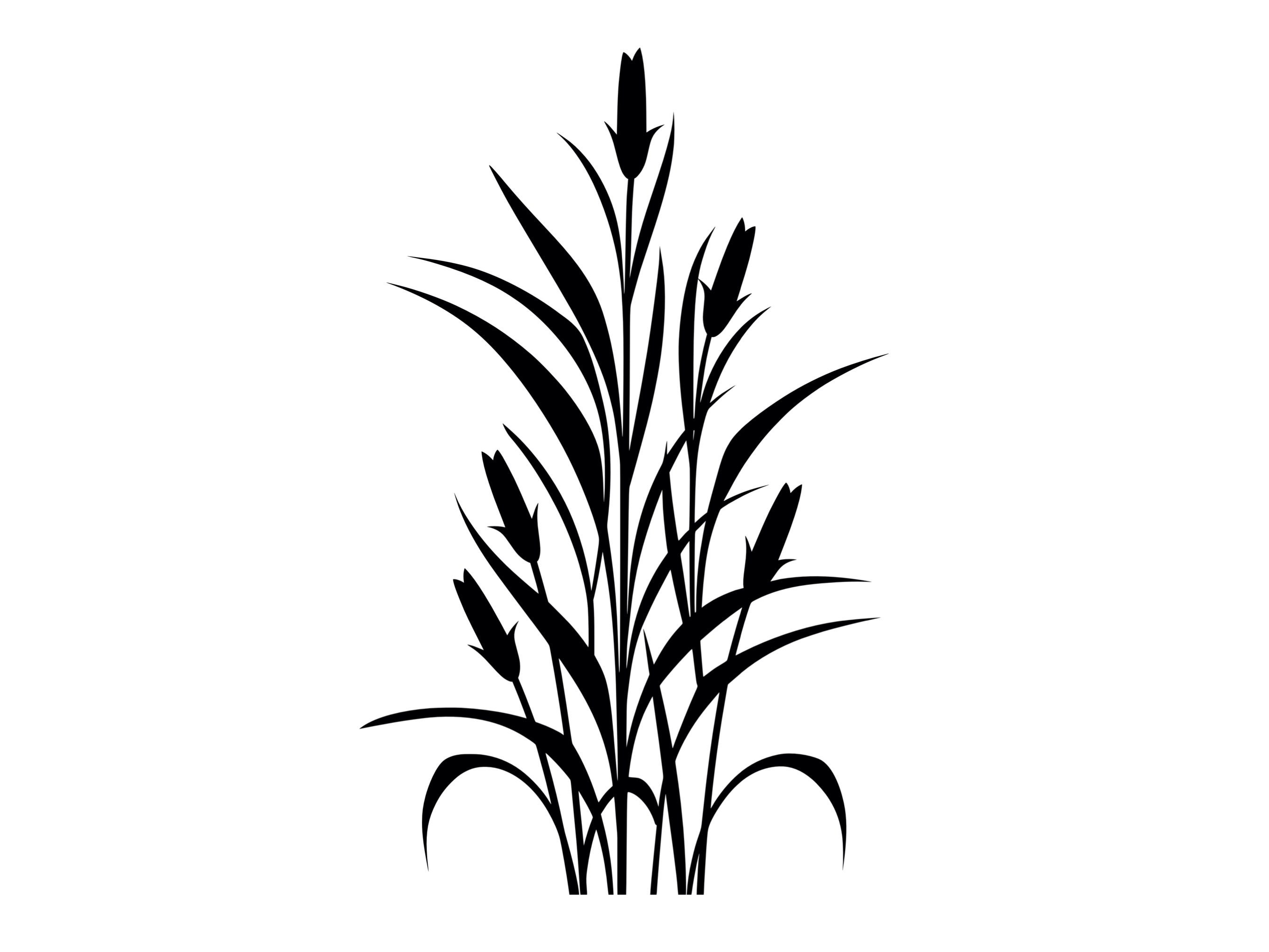 Corn Crops SVG Corn Field Farming Fall Food Harvest Silhouette Clip Art ...