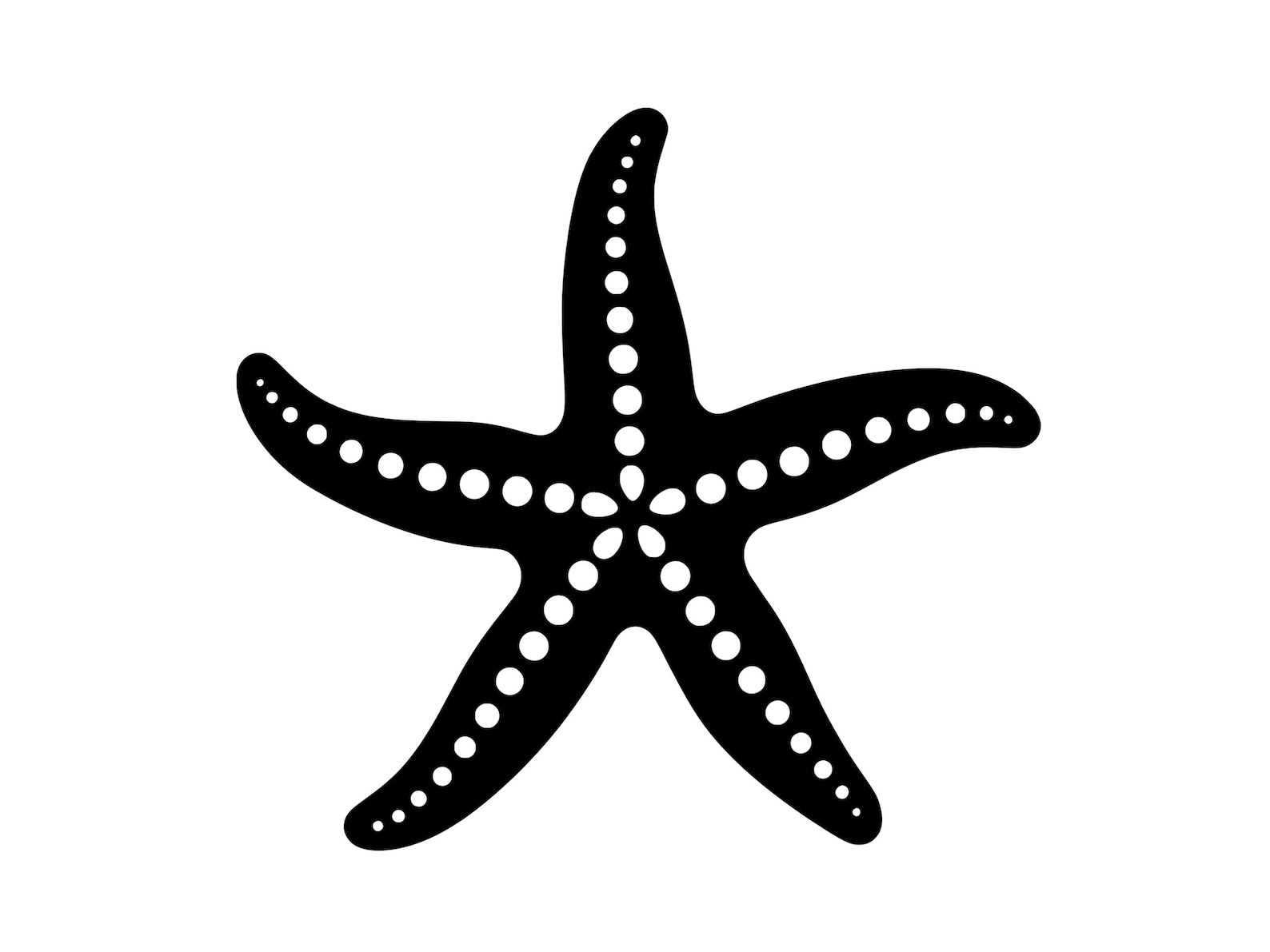 Seestern SVG - Sea Star Meerestier Silhouette Clipart geschnitten Datei ...