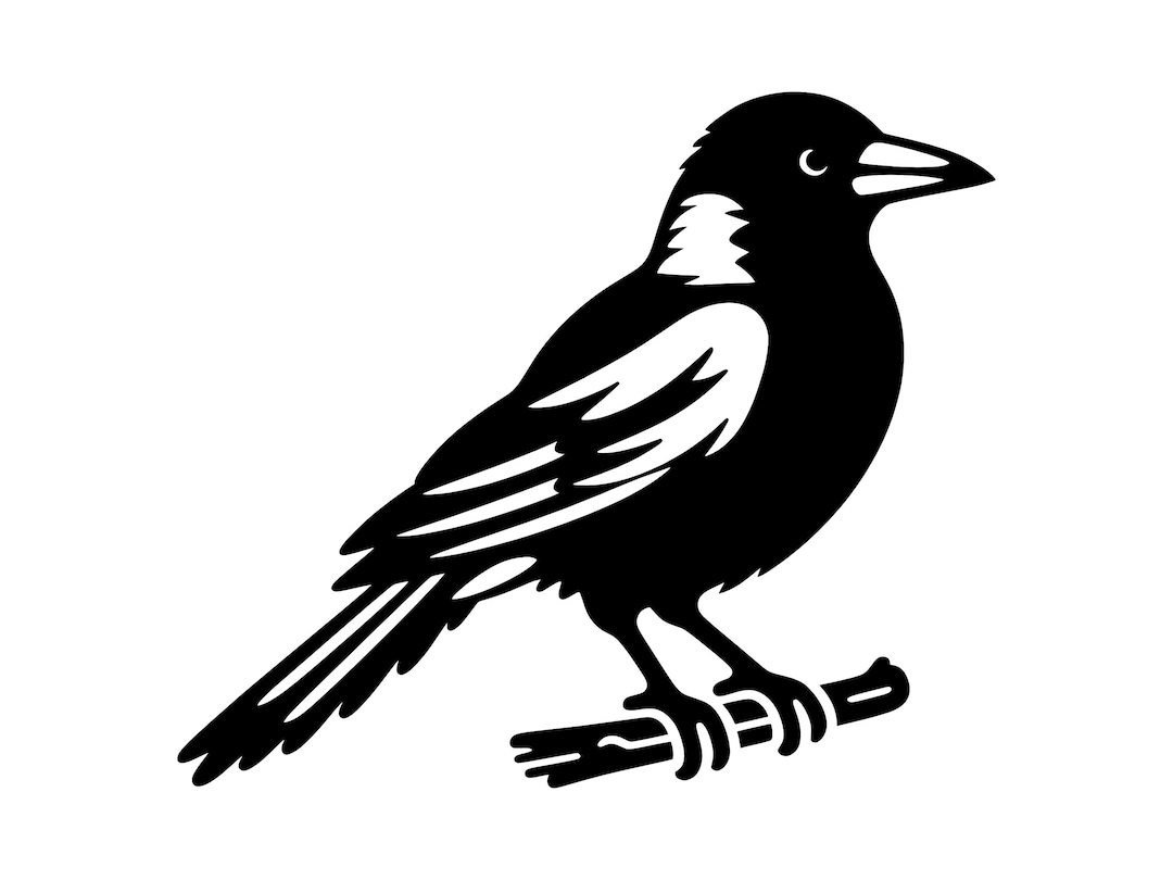 Magpie SVG - Australian Magpie Bird Wildlife Animal Silhouette Clip Art ...