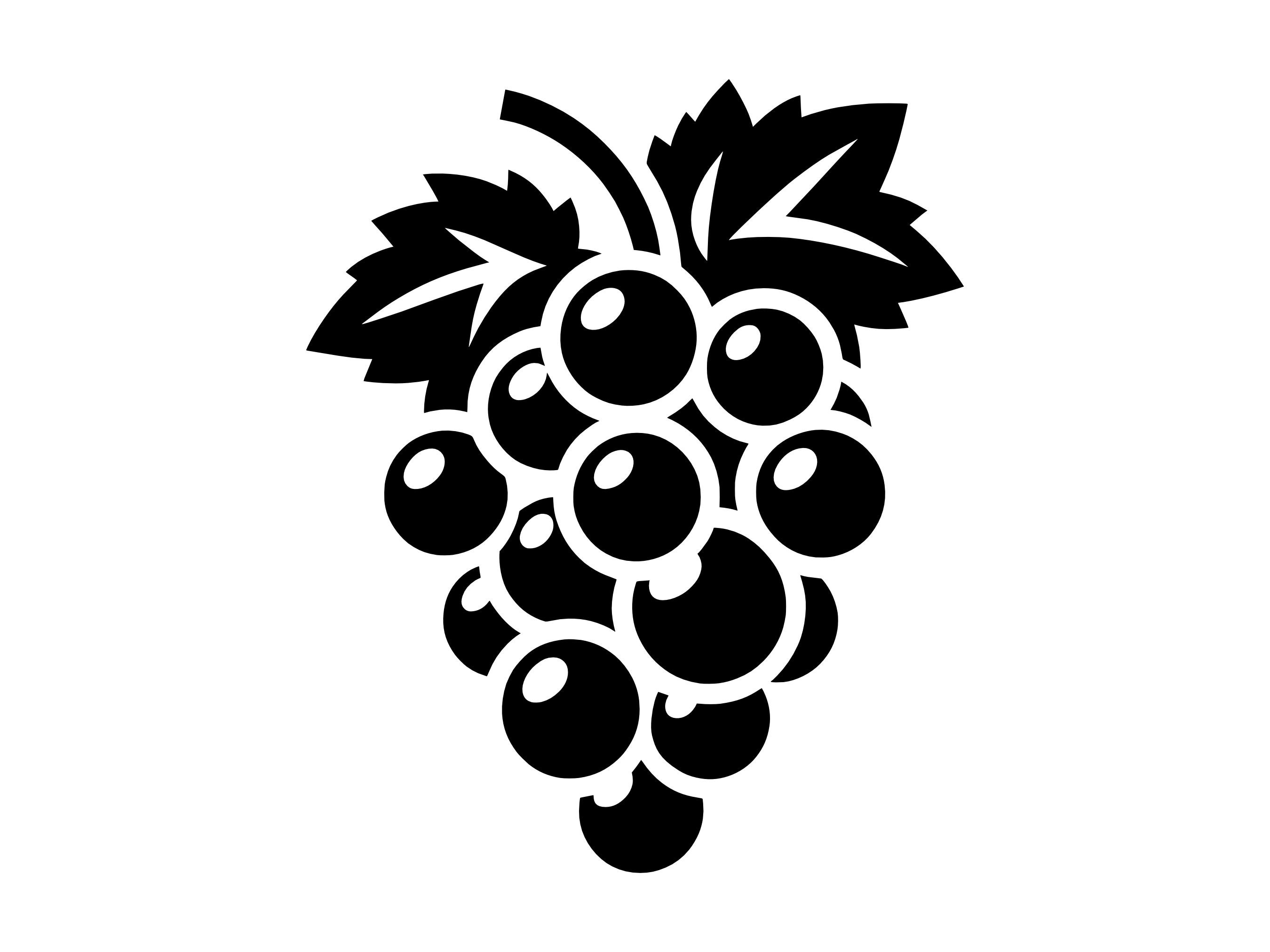 Grapes SVG - Grape Vine Vineyard Fruit Healthy Foods Printable Clip Art ...