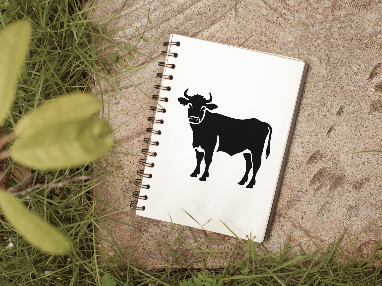 Cattle SVG - Bull Horns Farm Animal Countryside Cow Silhouette Clip Art ...