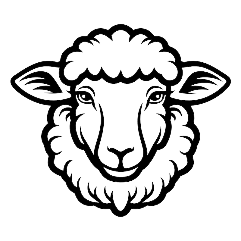 Baby Sheep Svg - Etsy
