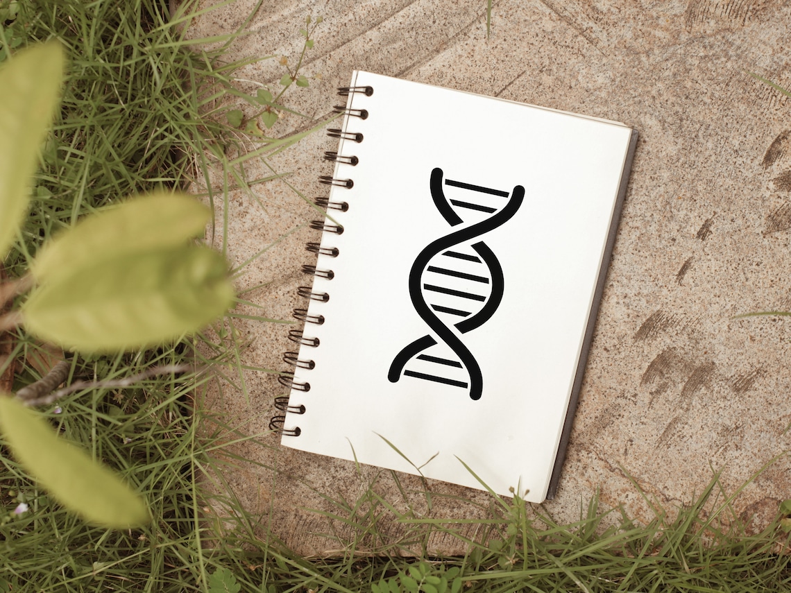 DNA Strand SVG - Double Helix DNA Structure Silhouette Clipart Cut File ...