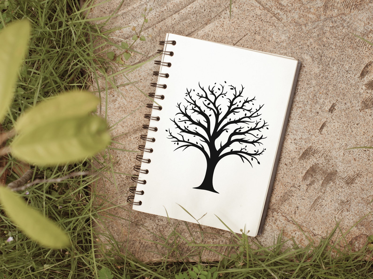 Autumn Tree SVG Fall Trees Seasonal Nature Falling (Download Now) - Etsy