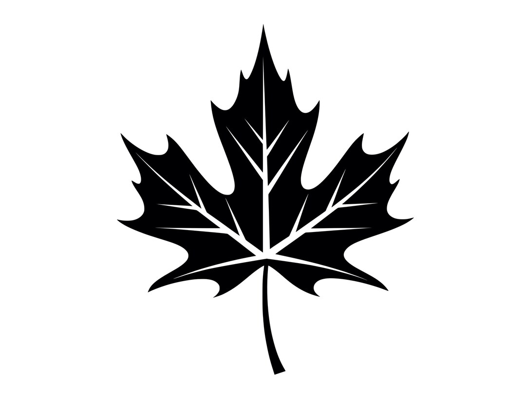 Autumn Leaf SVG - Fall Leaves Seasonal Nature Plants Maple Leaf ...