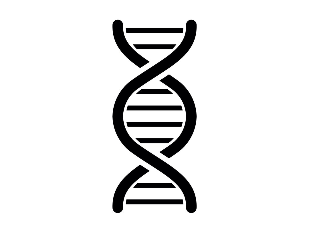 DNA Strand SVG - Double Helix DNA Structure Silhouette Clipart Cut File, Instant Download ...