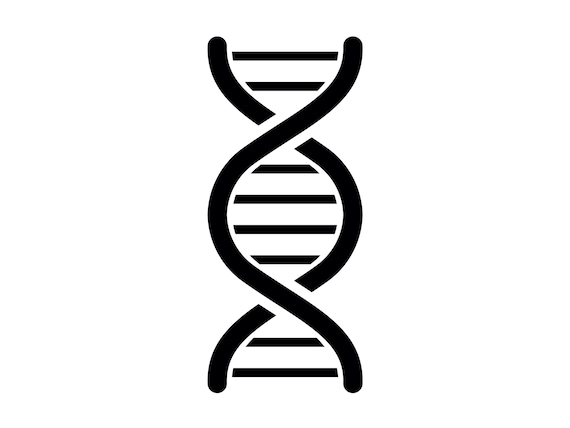 Dna Strand Clipart
