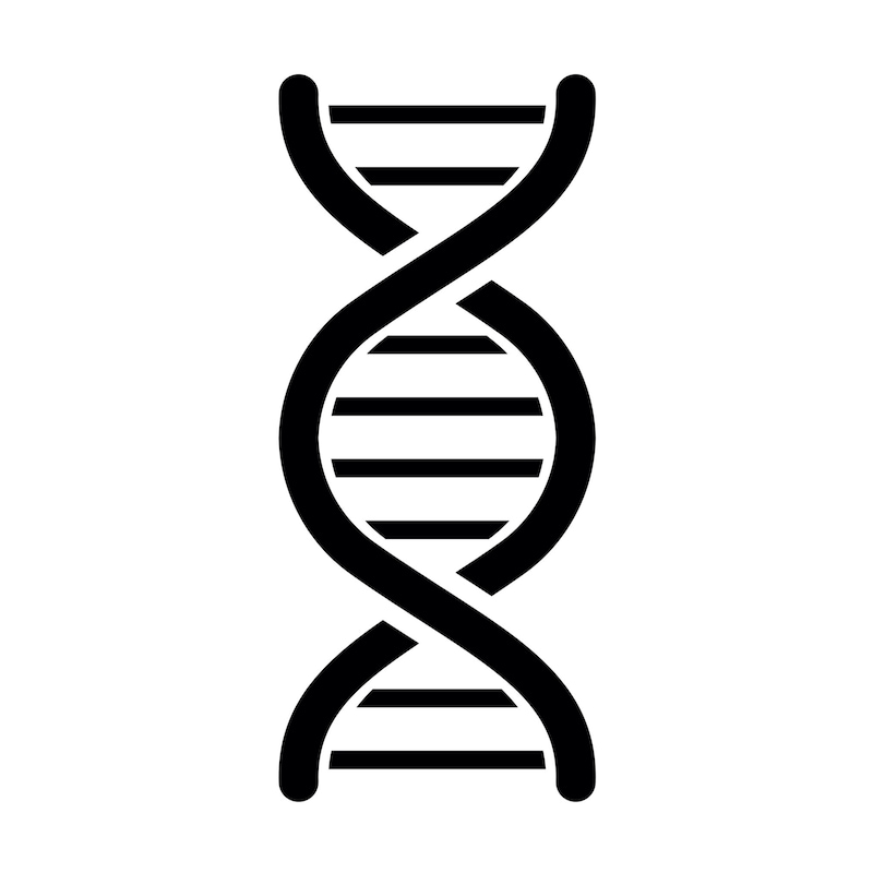 Dna Helix Color - Etsy