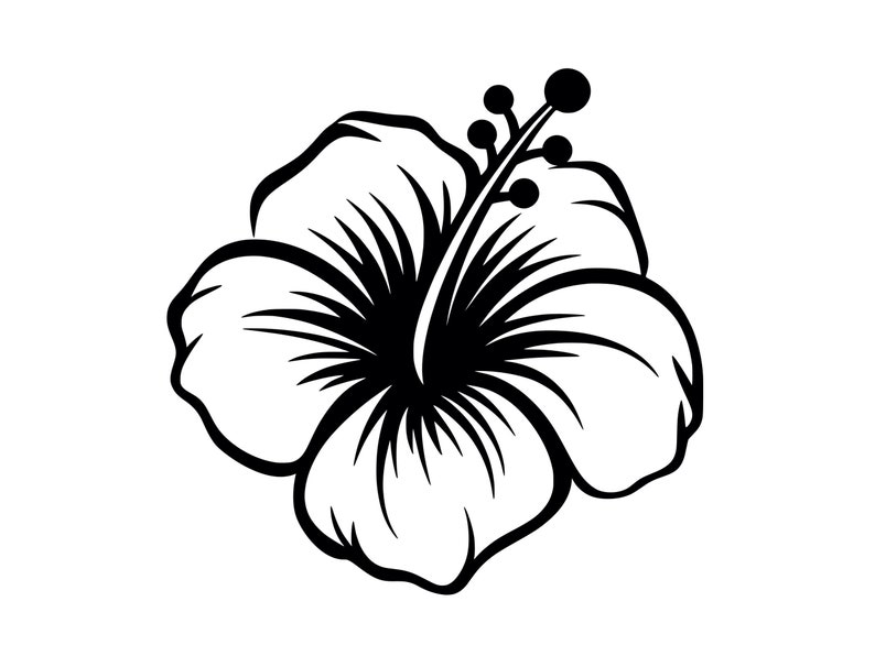 Hibiscus Flower SVG - Tropical Flower Floral Plant Printable Clip Art ...