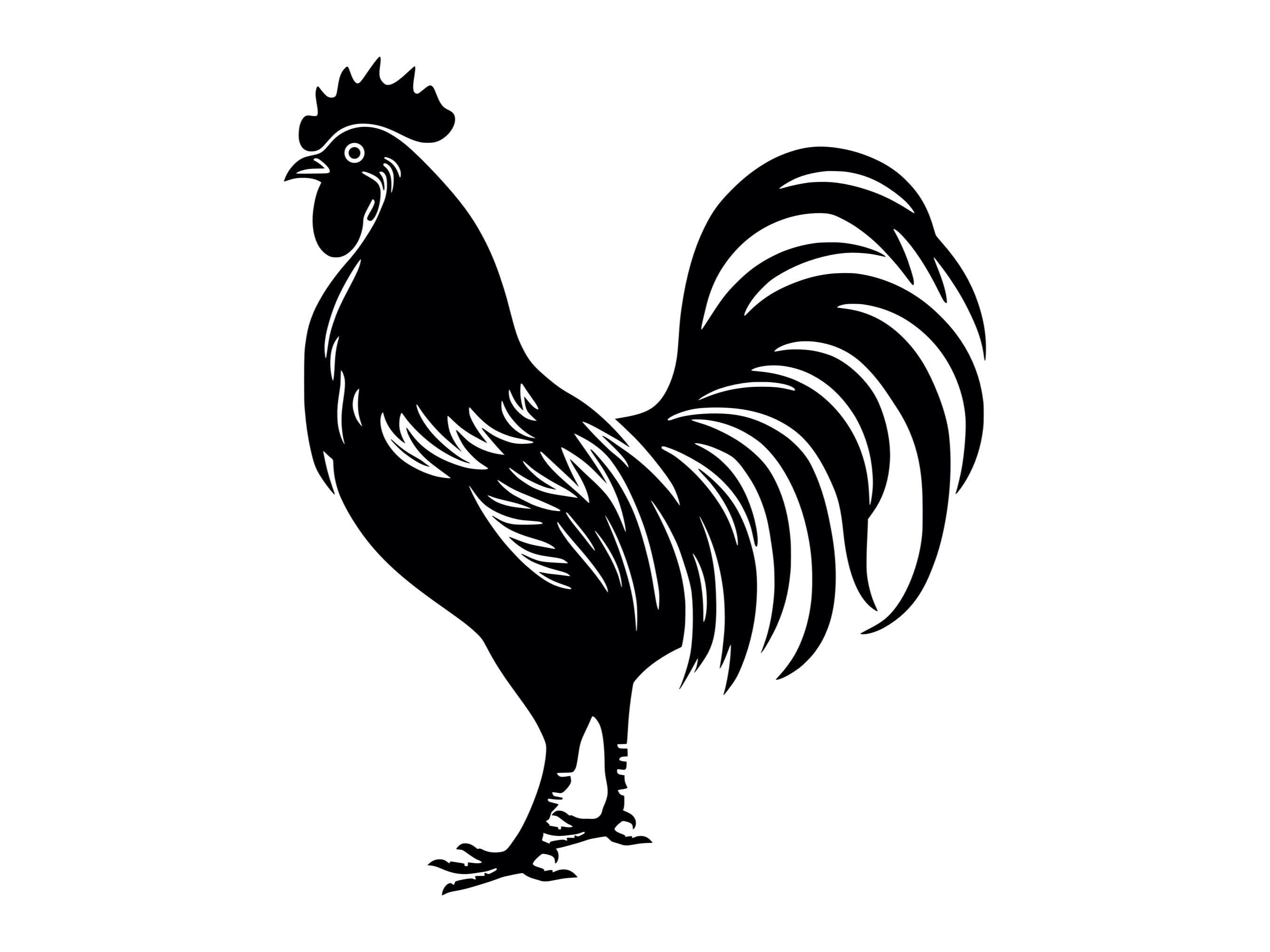 Rooster SVG - Chicken Poultry Bird Farm Animal Silhouette Clip Art Cut File, Instant Download ...