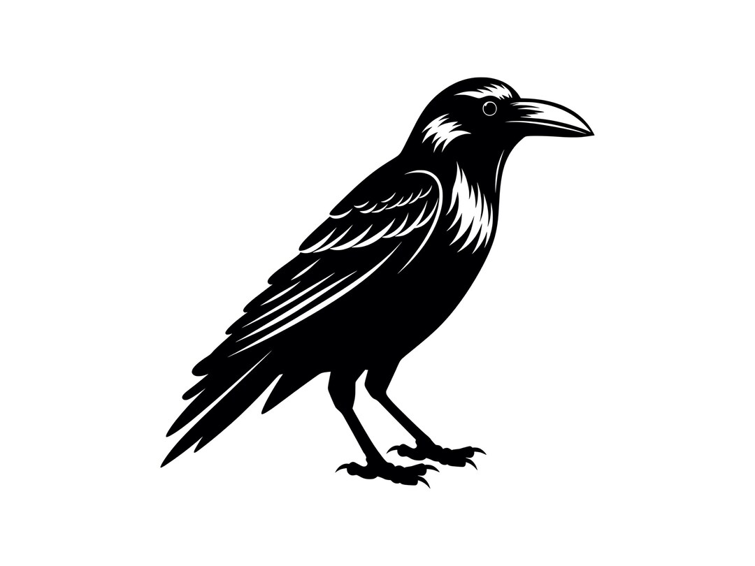 Raven SVG Crow Black Bird Halloween Animal Silhouette Clipart Cut File ...