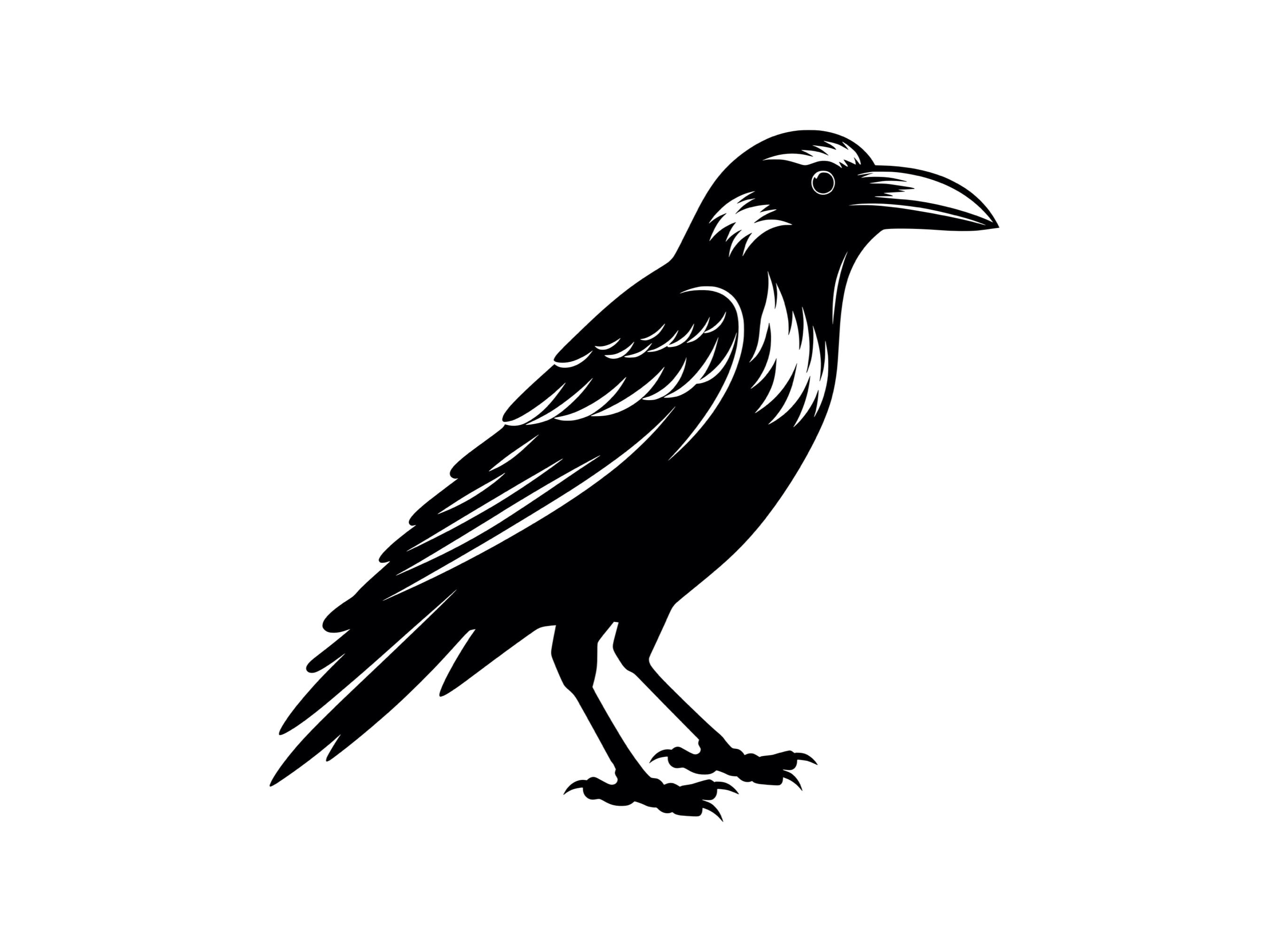 Raven SVG Crow Black Bird Halloween Animal Silhouette - Etsy