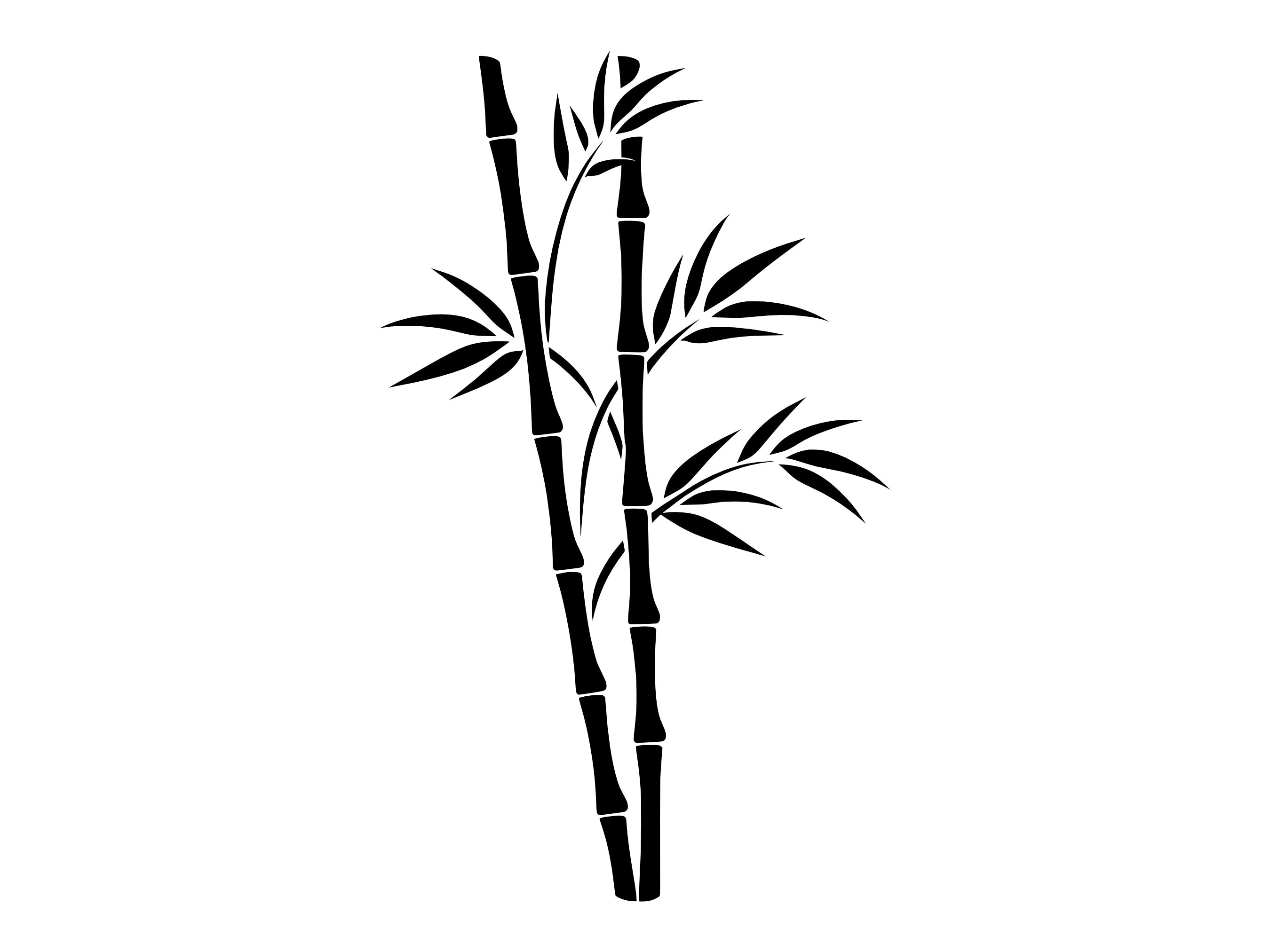 Bamboo SVG Tropical Plant Bamboo Grass Silhouette Clip Art Cut File ...