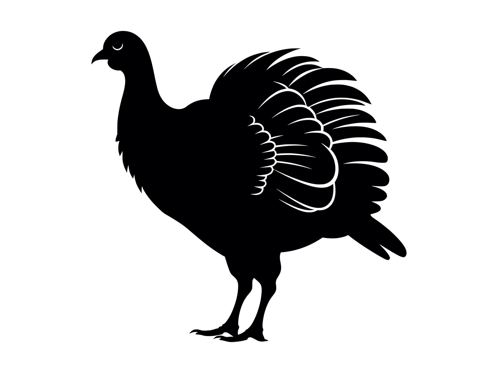 Turkey SVG - Farm Animal Poultry Bird Thanksgiving Turkey Printable ...