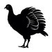 Turkey SVG - Farm Animal Poultry Bird Thanksgiving Turkey Printable ...