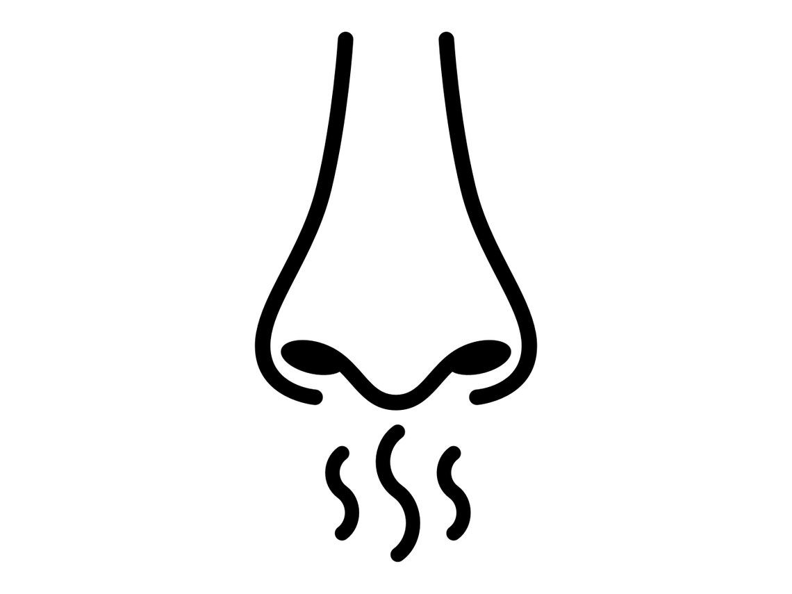 Nose Smell Scent Odor Aroma Breathing Human Nose Smelling - Etsy