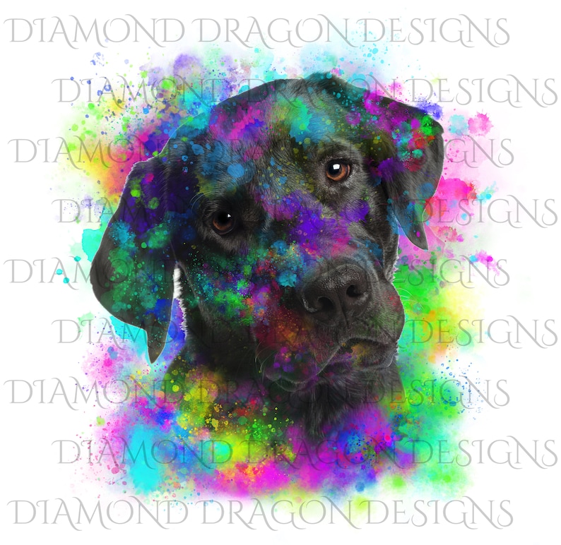 Watercolor Lab Labrador Rainbow Labrador Watercolor Dog - Etsy