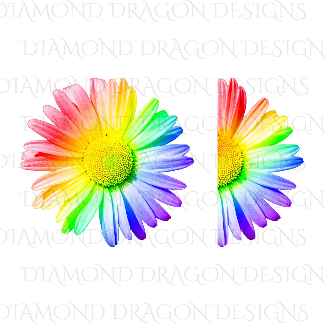 Whole Daisy, Half Daisy, Rainbow Daisy, Daisy Flower, Waterslide, Pride ...