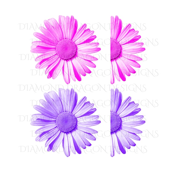 Whole Daisy Half Daisy Pink Daisy Purple Daisy Daisy - Etsy UK