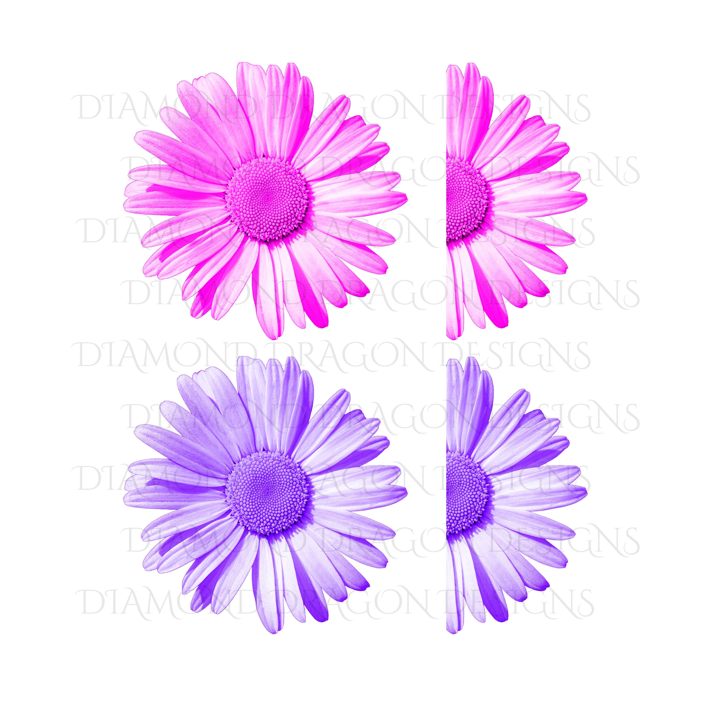 Whole Daisy, Half Daisy, Pink Daisy, Purple Daisy, Daisy Flower Bundle ...