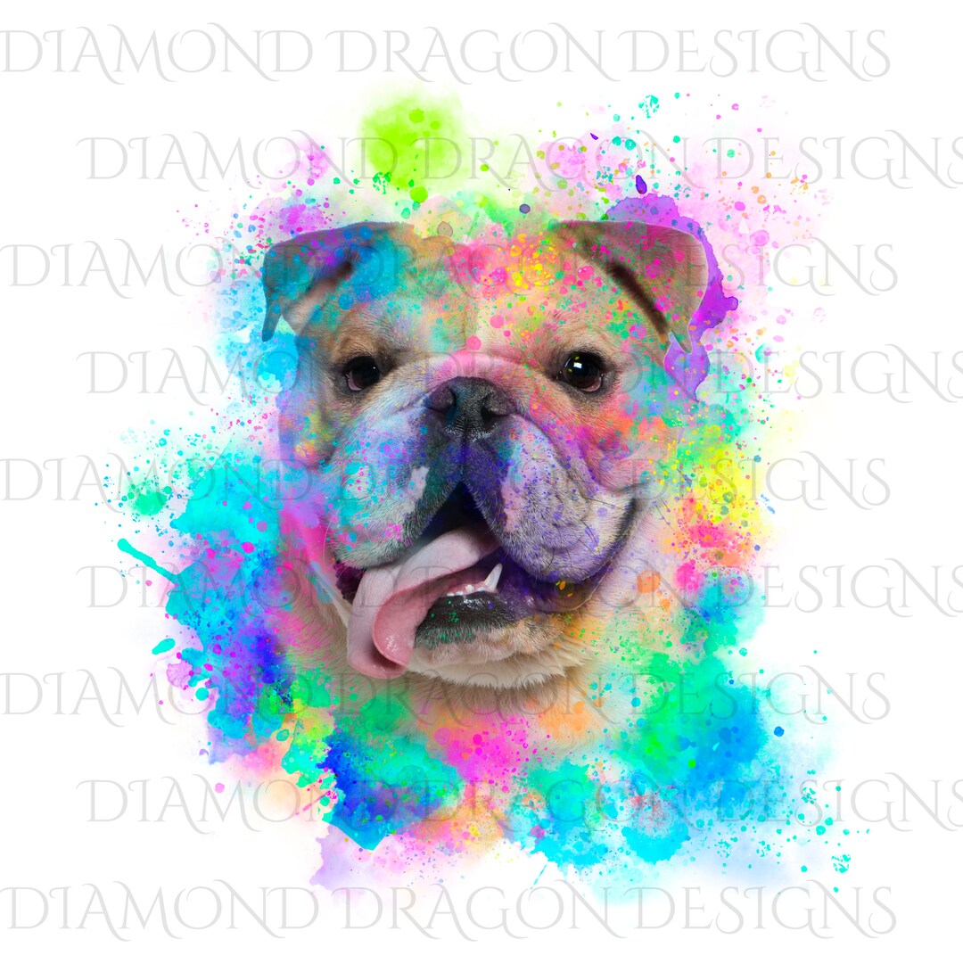 Watercolor English Bulldog, Rainbow Bulldog, Watercolor Dog, High Res ...