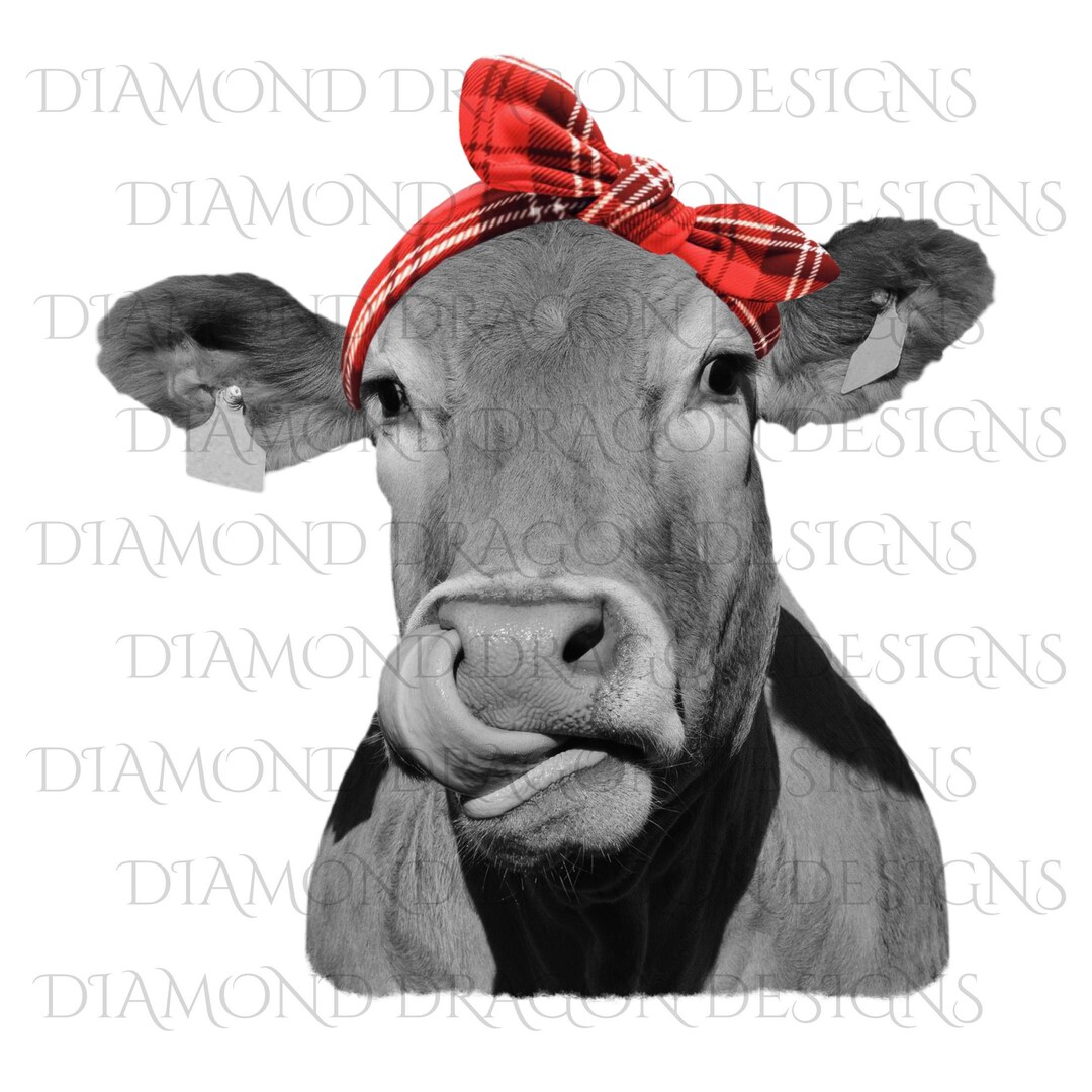 Heifer, Image, Cute Cow With Red Plaid Bandana, Cowlick, Cow Tongue Out ...