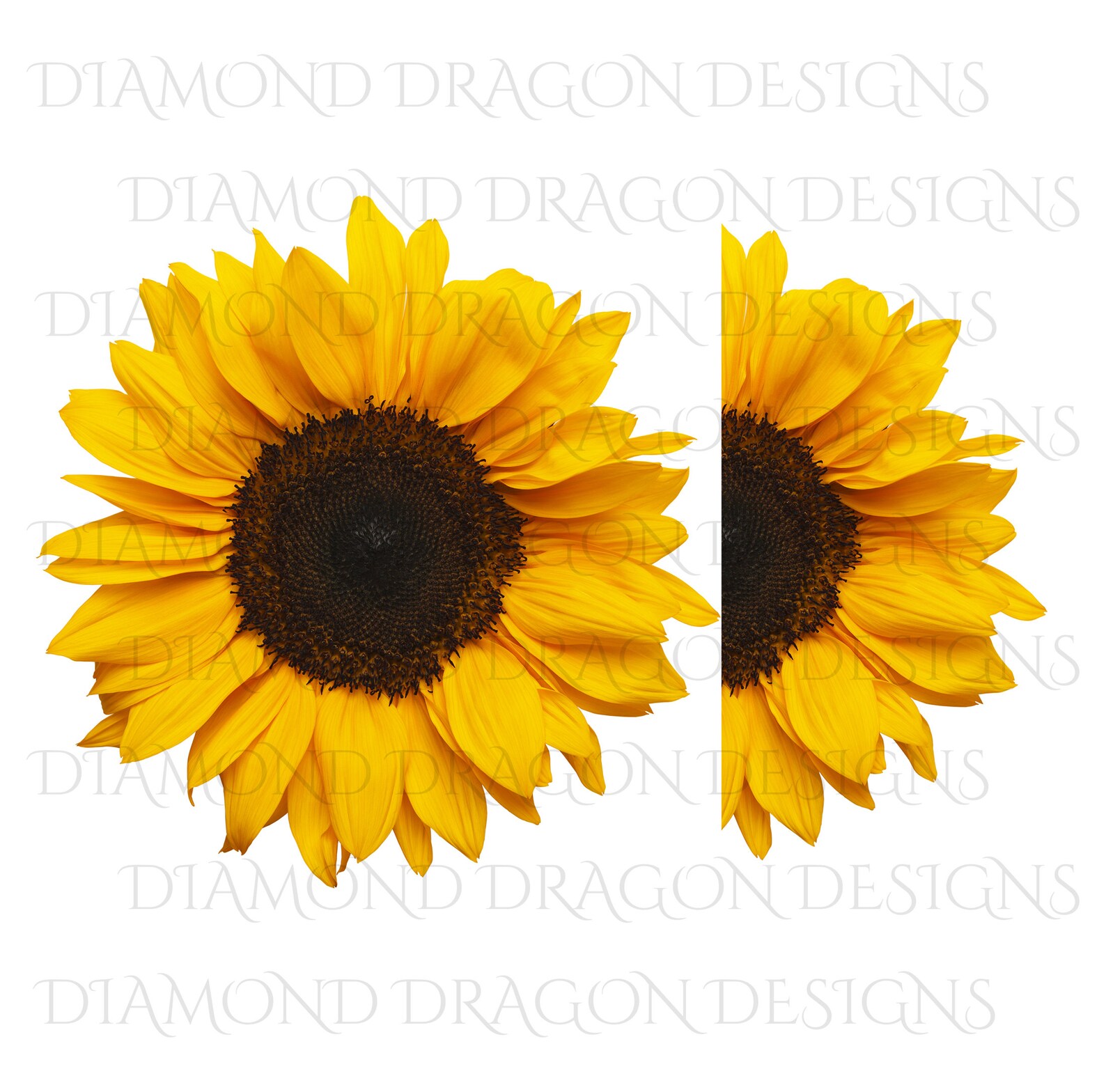 Whole Sunflower Half Sunflower 2 Image Bundle Waterslide - Etsy