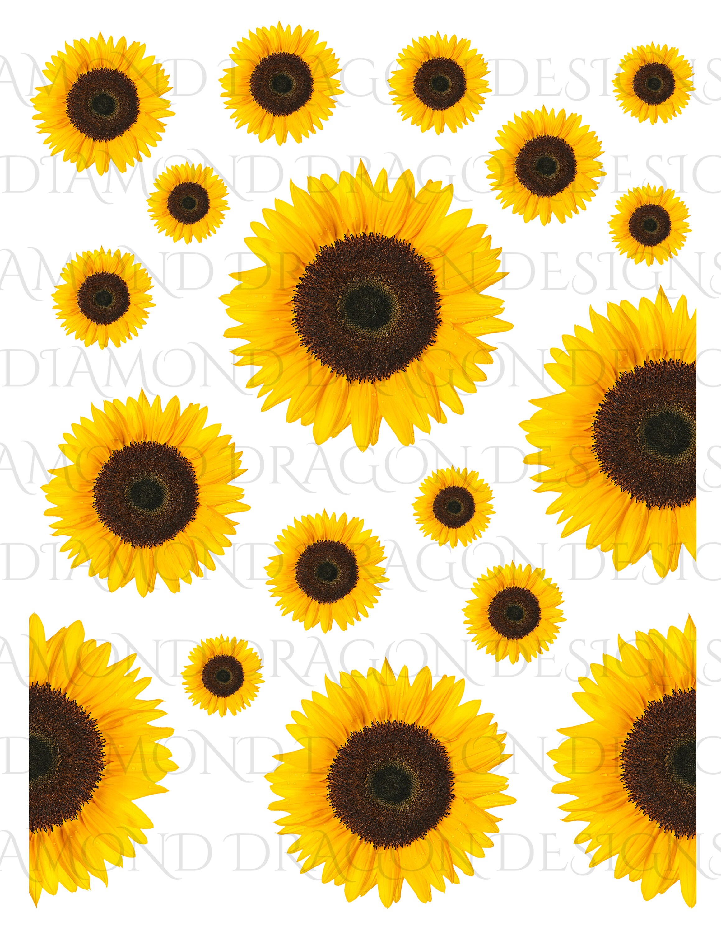 Mixed Sunflower Sheet, Whole Sunflower, Half Sunflower, Waterslide ...