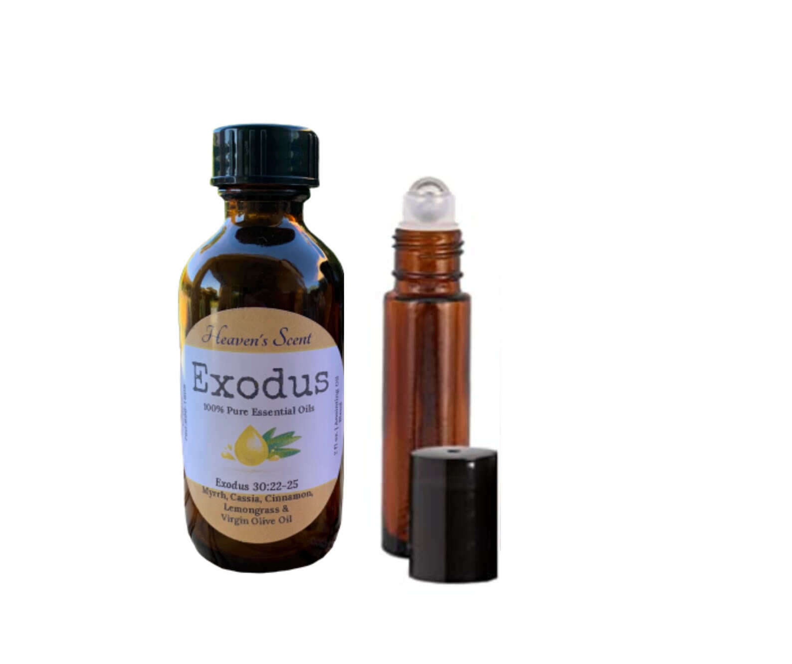 Exodus Holy Anointing Oil 2 FL OZ & Roller | Etsy