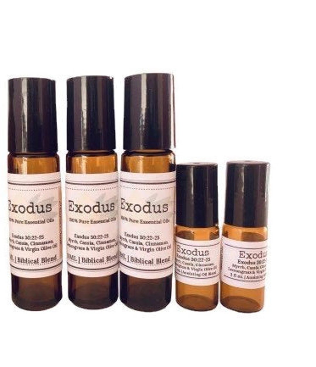Exodus Holy Anointing Oil 100% Therapeutic Oils - Etsy