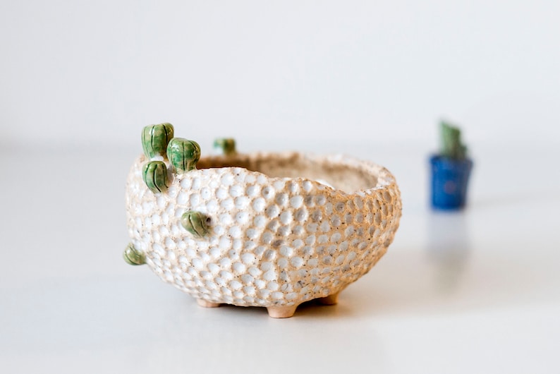 Ceramic planter Succulent plant pot Ceramic cactus pot | Etsy