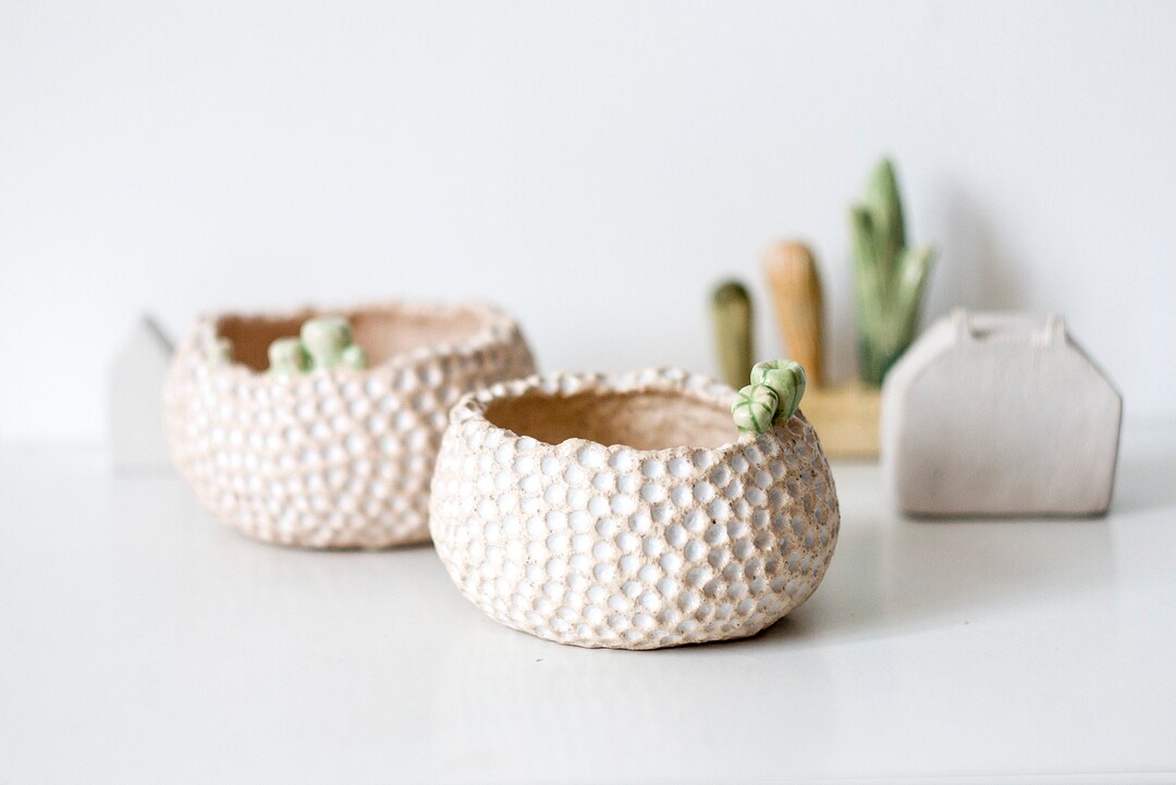 Ceramic Planter, Succulent Plant Pot, Ceramic Cactus Pot, Succulent ...