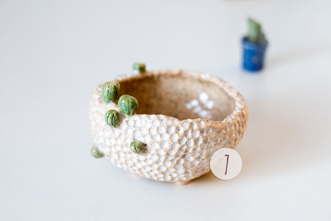 Ceramic planter Succulent plant pot Ceramic cactus pot | Etsy