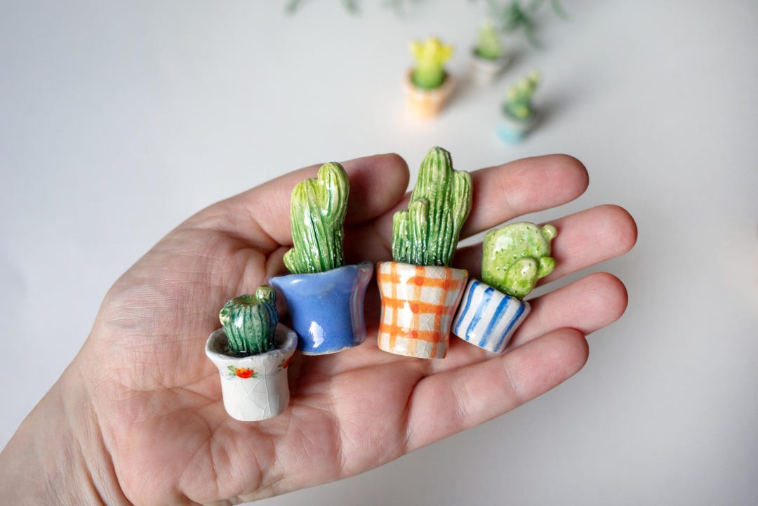 Ceramic Cactus, Mini Cactus, Cactus Themed Gifts, Plant and Planter ...