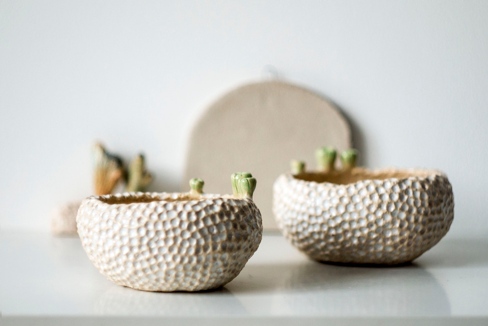 Ceramic planter Succulent plant pot Ceramic cactus pot | Etsy