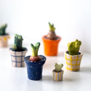 Ceramic Cactus Mini Cactus Cactus Themed Gifts Plant and - Etsy