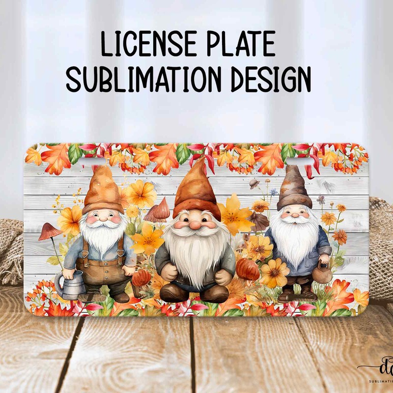 Gnome Plates - Etsy
