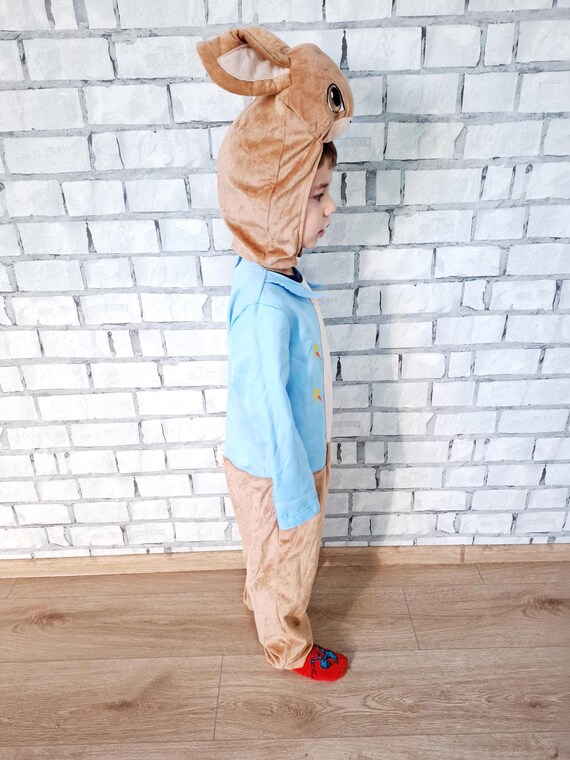6-7 years Peter Rabbit costume Cosplay bunny costume … - Gem