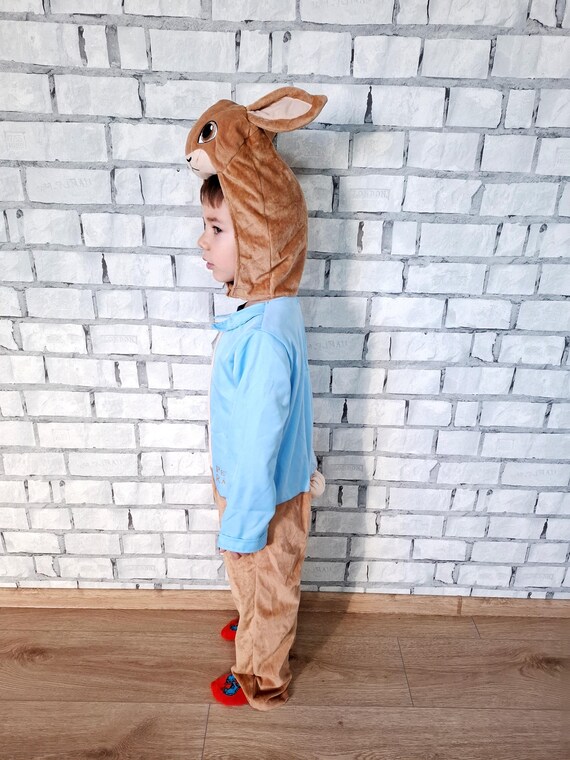 6-7 years Peter Rabbit costume Cosplay bunny costume … - Gem