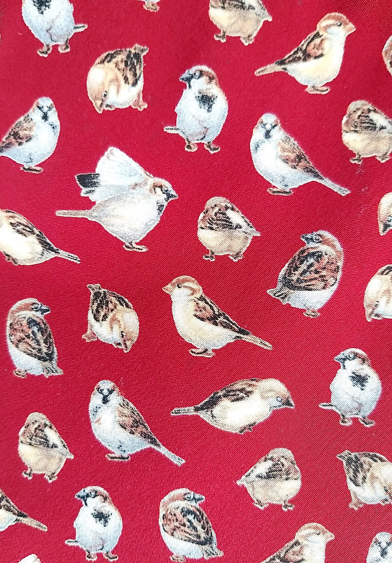 Silk Tie bird print Tie teacher gift teacher tie collectible | Etsy