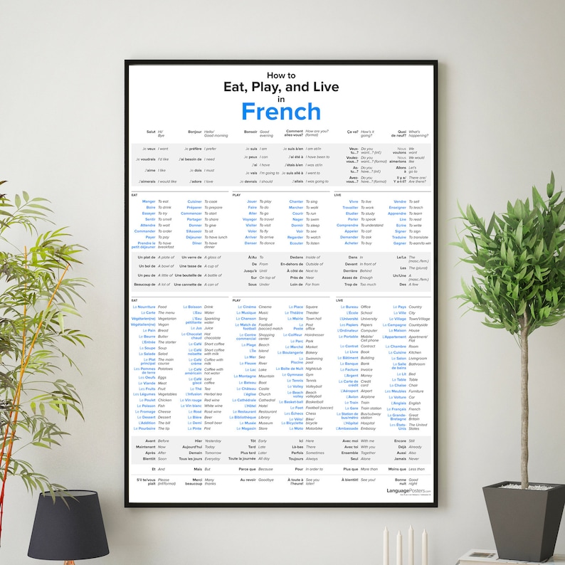 How to Eat, Play, and Live in French - Poster - Etsy